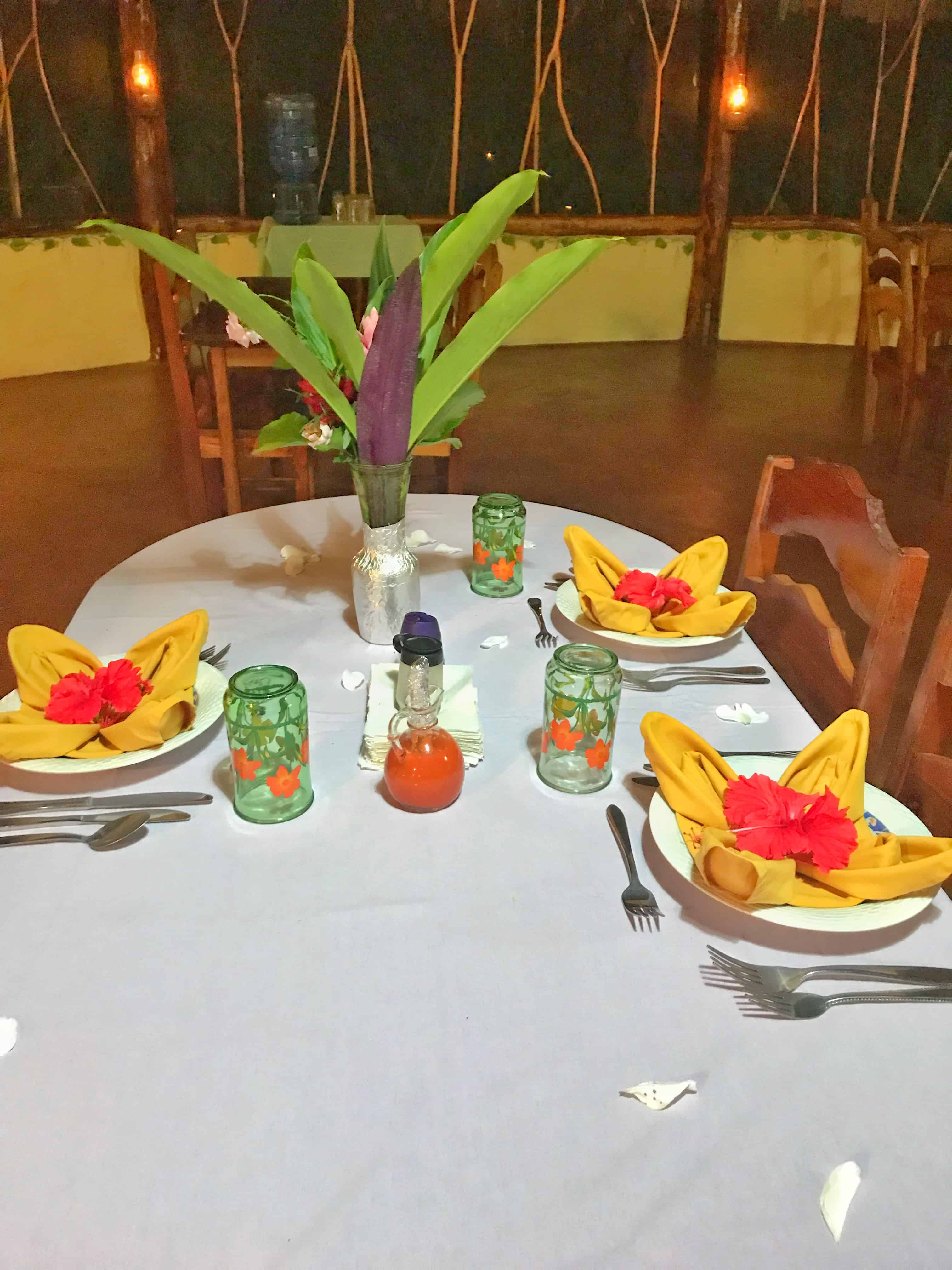 COTTON TREE LODGE REVIEW - TRAVEL MAD MUM