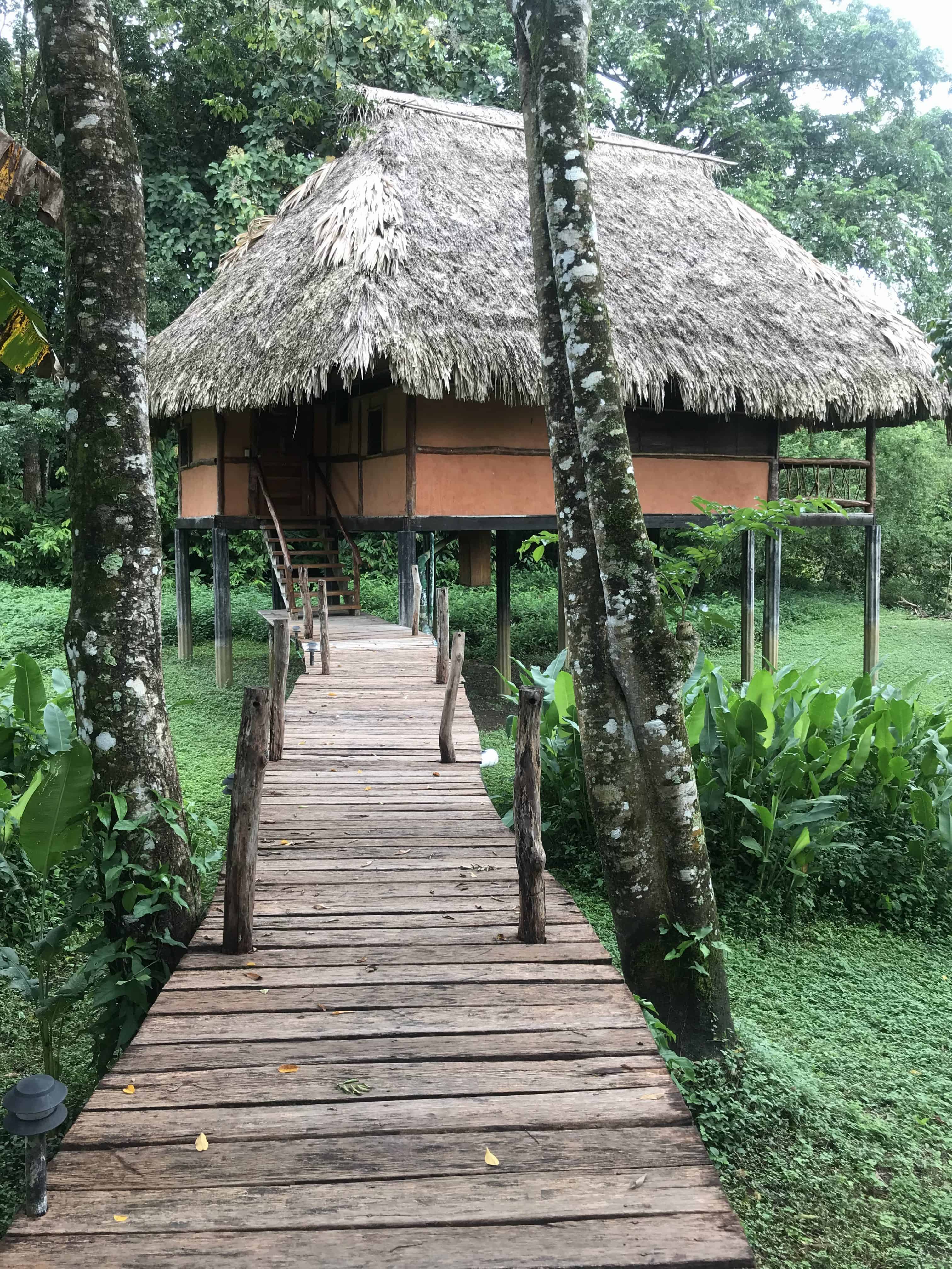 COTTON TREE LODGE REVIEW - TRAVEL MAD MUM