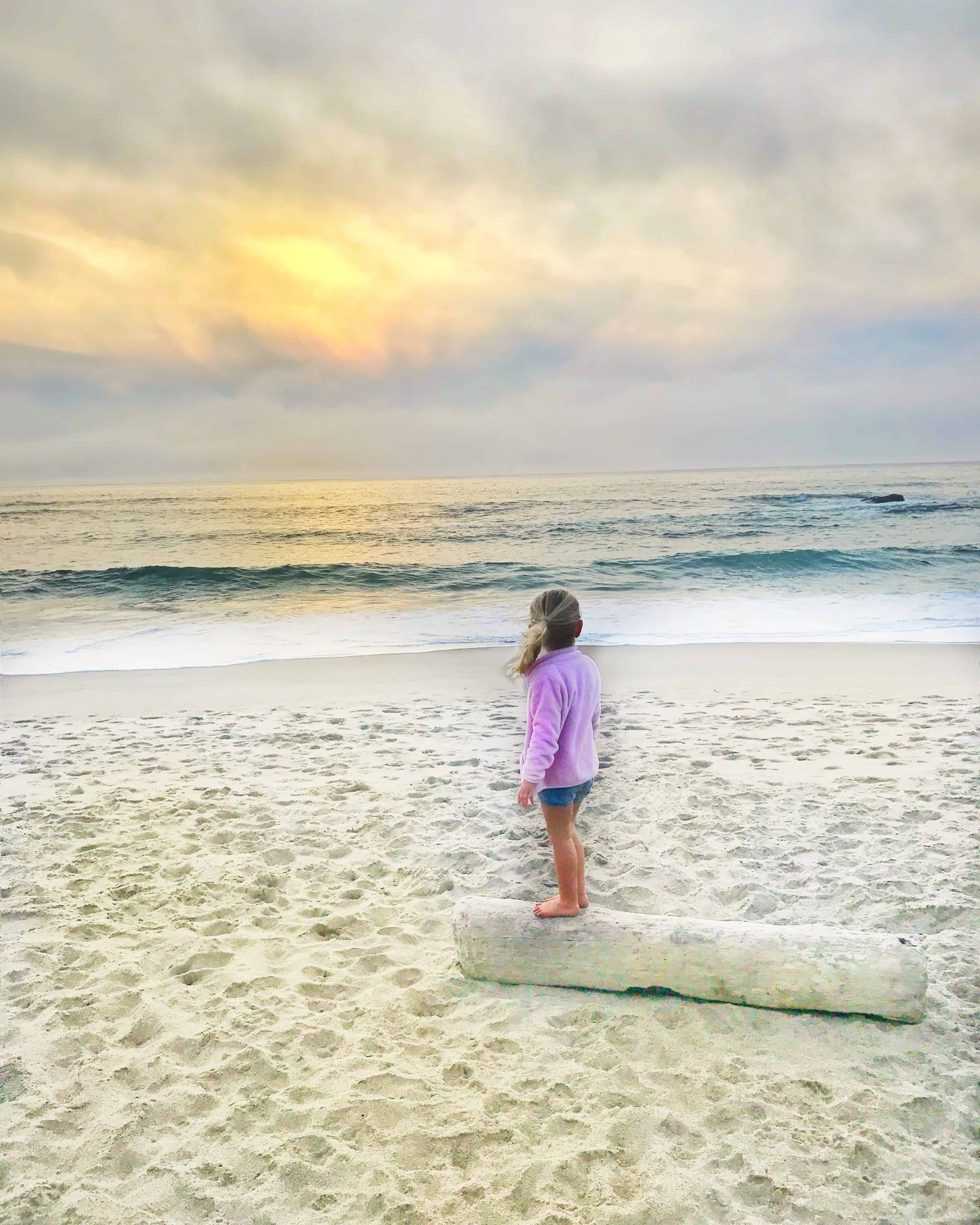 20 Best Highway 101 Road Trip Stops 2023 | Ultimate 101 Trip