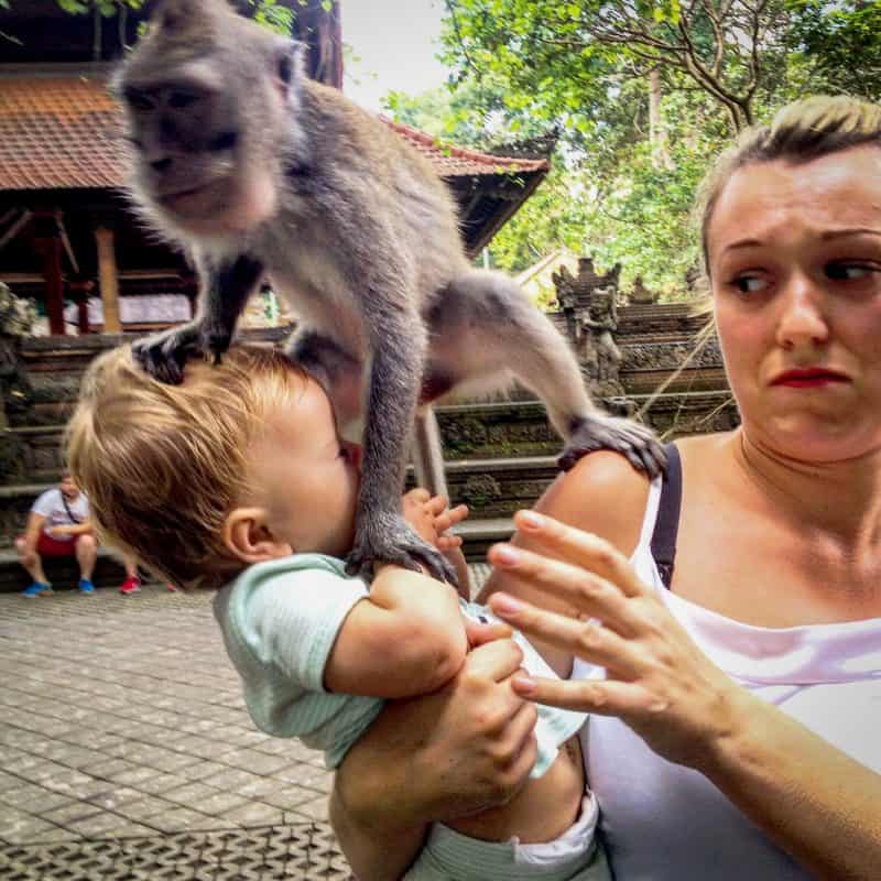 UBUD WITH KIDS 2024 | A BALI GUIDE BY TRAVEL MAD MUM