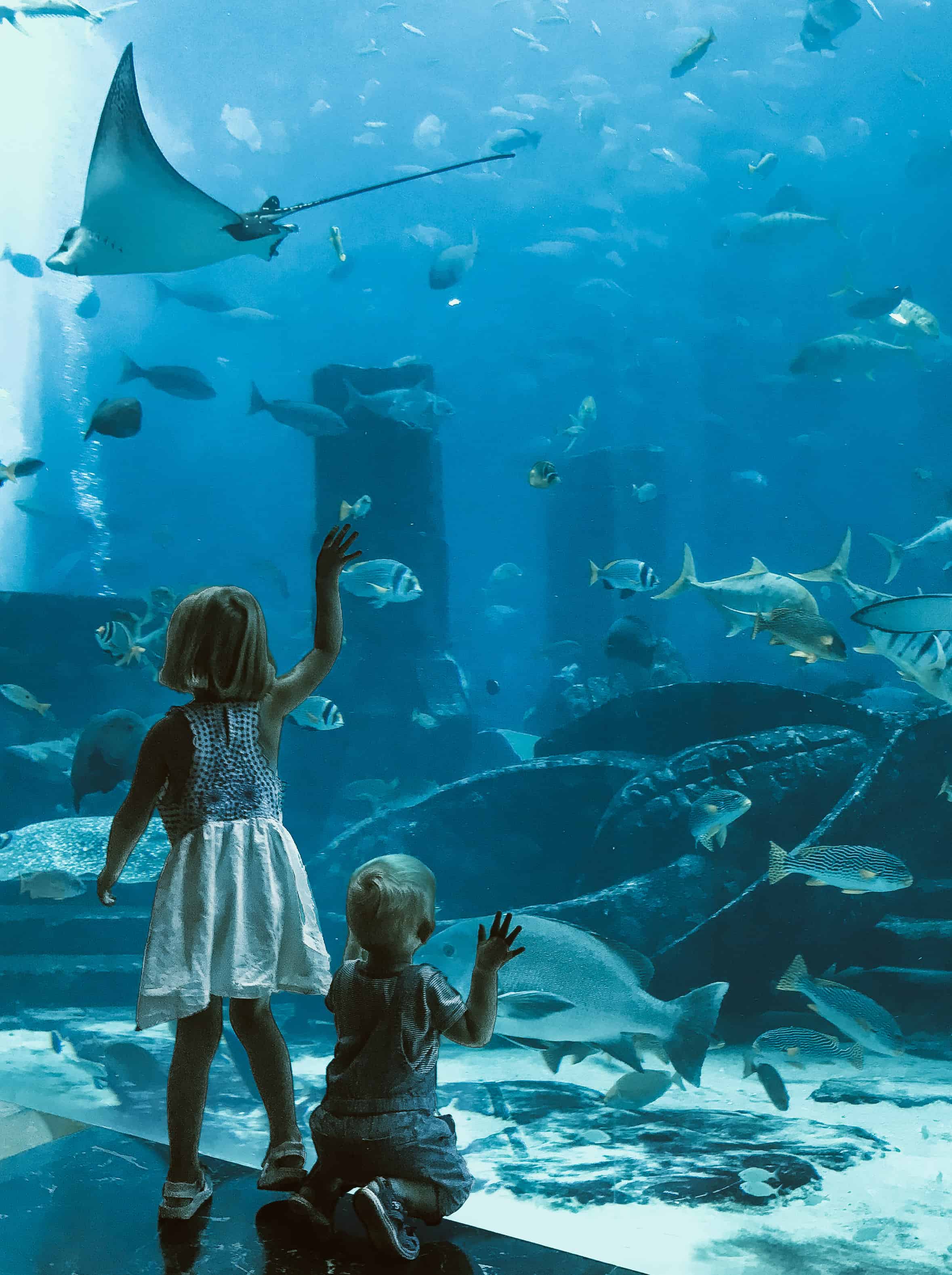 Dubai With Kids |35 Fun Things To Do In Dubai For Kids