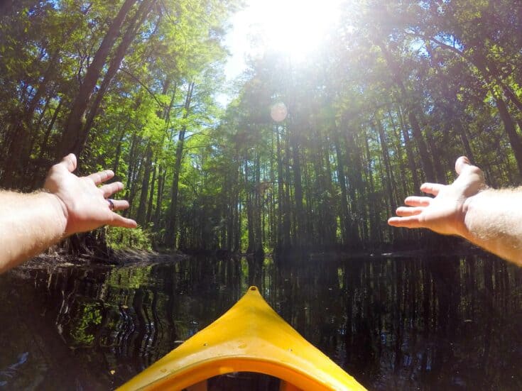 The Best Things To Do Everglades With Kids ( Must Sees)