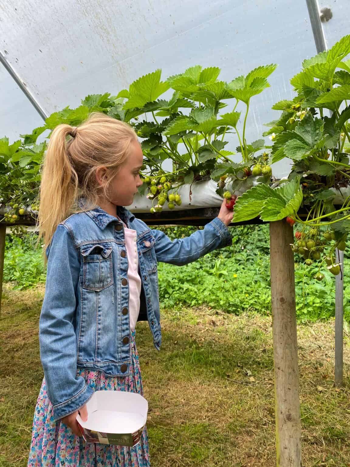 The Best Things To Do In Cornwall With Kids 2023 -Cornwall For Kids