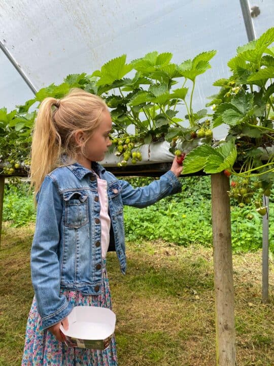 The Best Things To Do In Cornwall With Kids 2023 -Cornwall For Kids