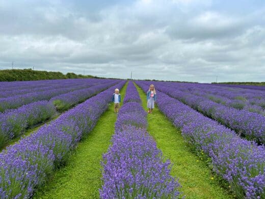 The Best Things To Do In Cornwall With Kids -Cornwall For Kids