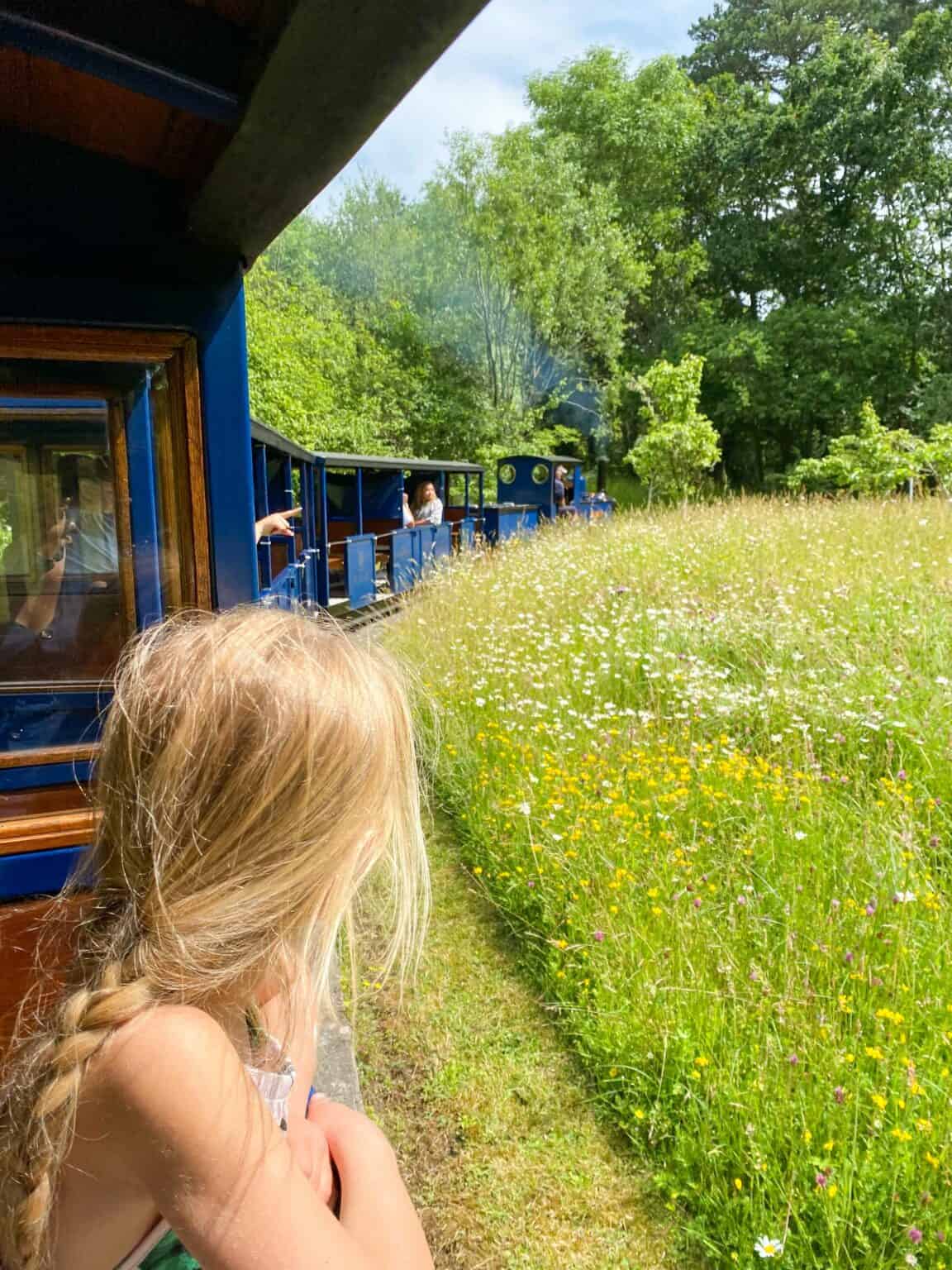 New Forest For Kids 2023 - 10 + Fun Things To Do In New Forest UK