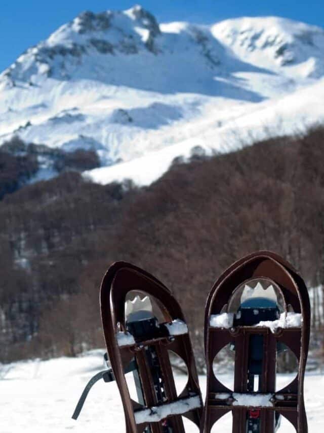 Yosemite In December - Travel Mad Mum