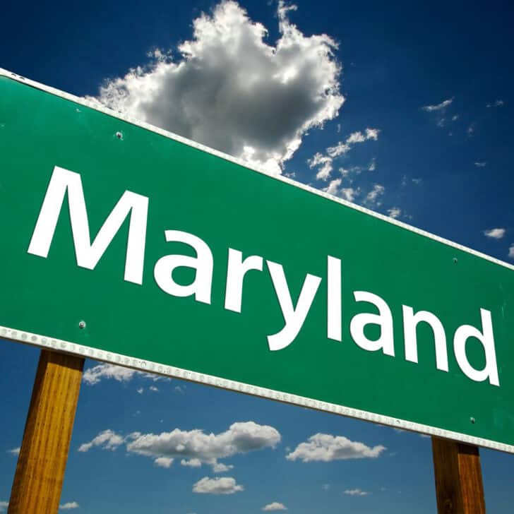 15+ Best Pumpkin Farms In Maryland