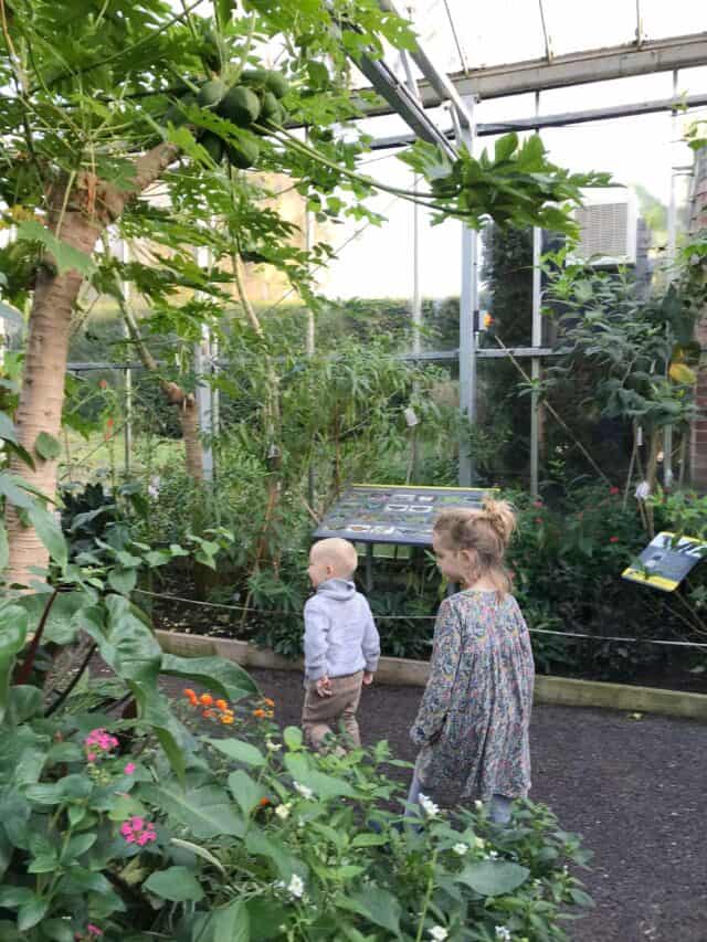 25 Fun Things To Do In London With A Toddler 2023 25-fun-things-to-do-in-london-with-a-toddler-2023