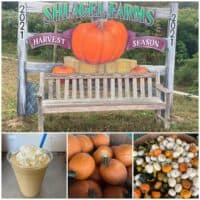 15+ Best Pumpkin Farms In Maryland - Pumpkin Patch Maryland