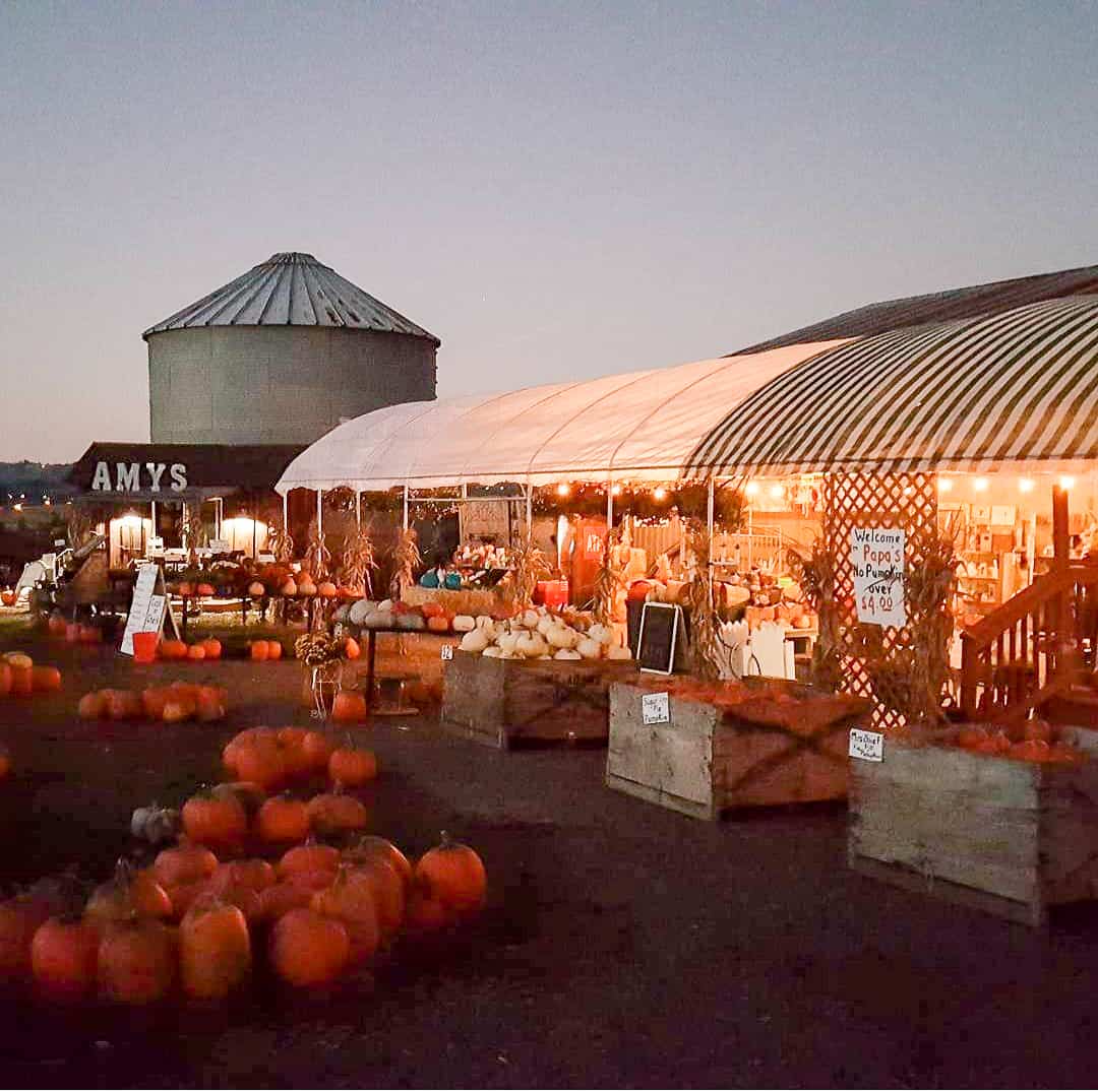 14+ Best Pumpkin Farms In Oregon | Pumpkin Patch in PDX, OR