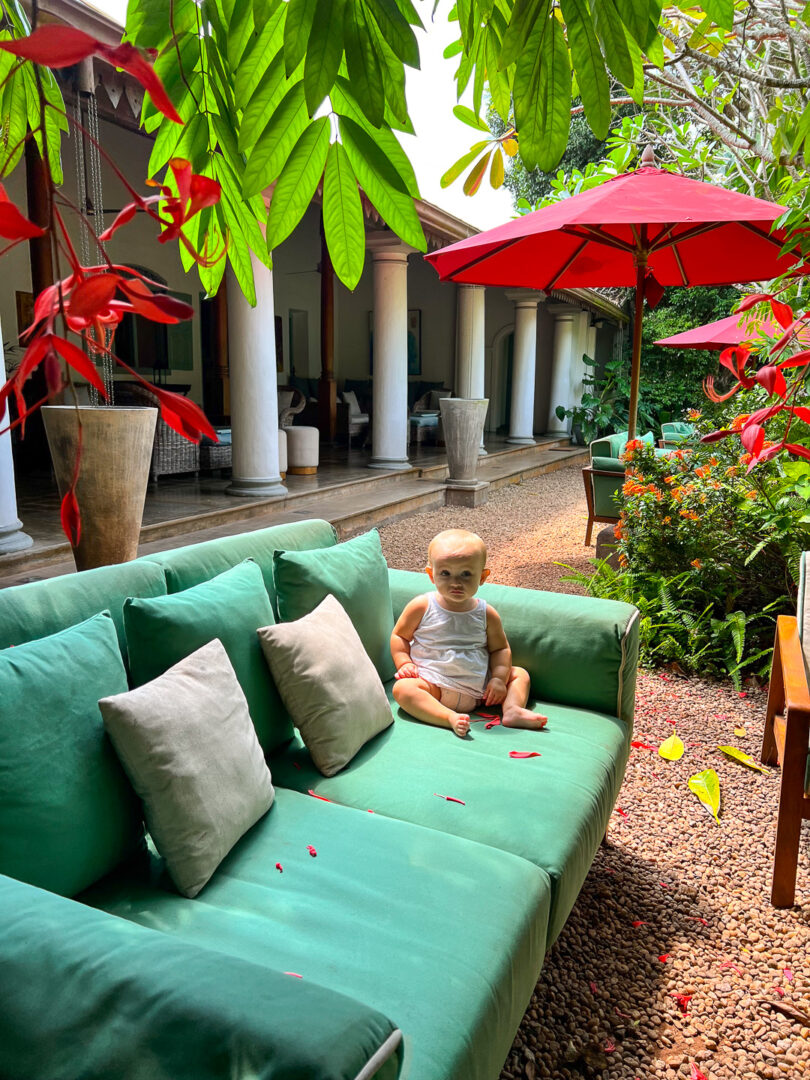 The Perfect Sri Lanka 8 Day itinerary - Best Places To Visit