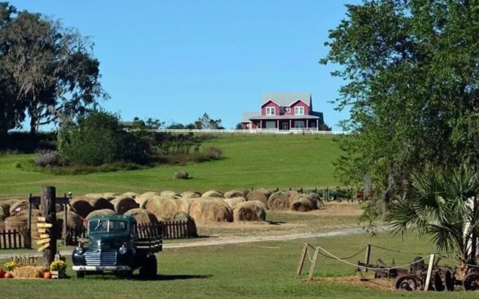 12 Best Pumpkin Farms In Florida 2023