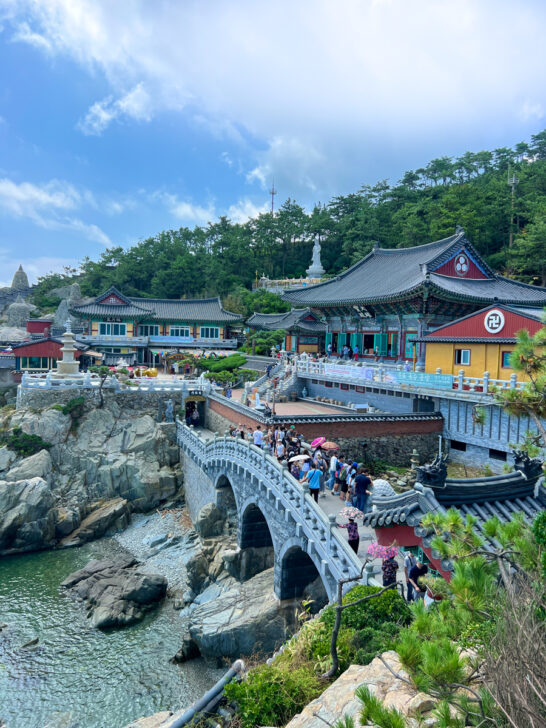 10+ Fun Things To Do In Busan With Kids - Busan Family Trip