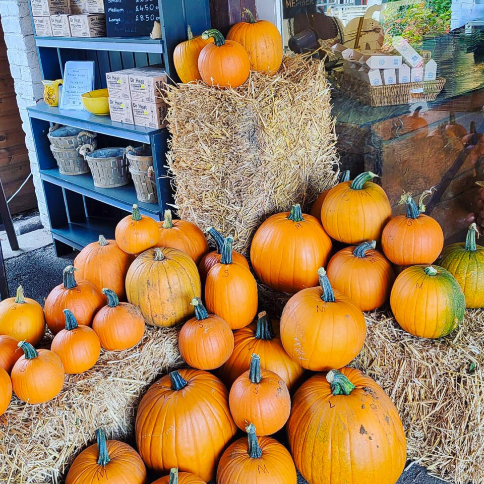 October Half Term In London 2025- Fun Events & Things To Do