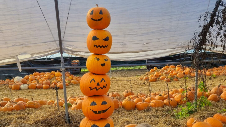 October Half Term In London 2025- Fun Events & Things To Do