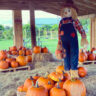 12 Best Pumpkin Farms In Florida 2024