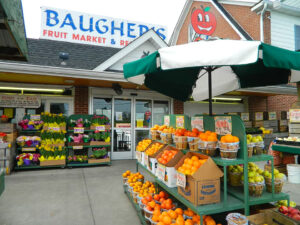 15+ Best Pumpkin Farms In Maryland