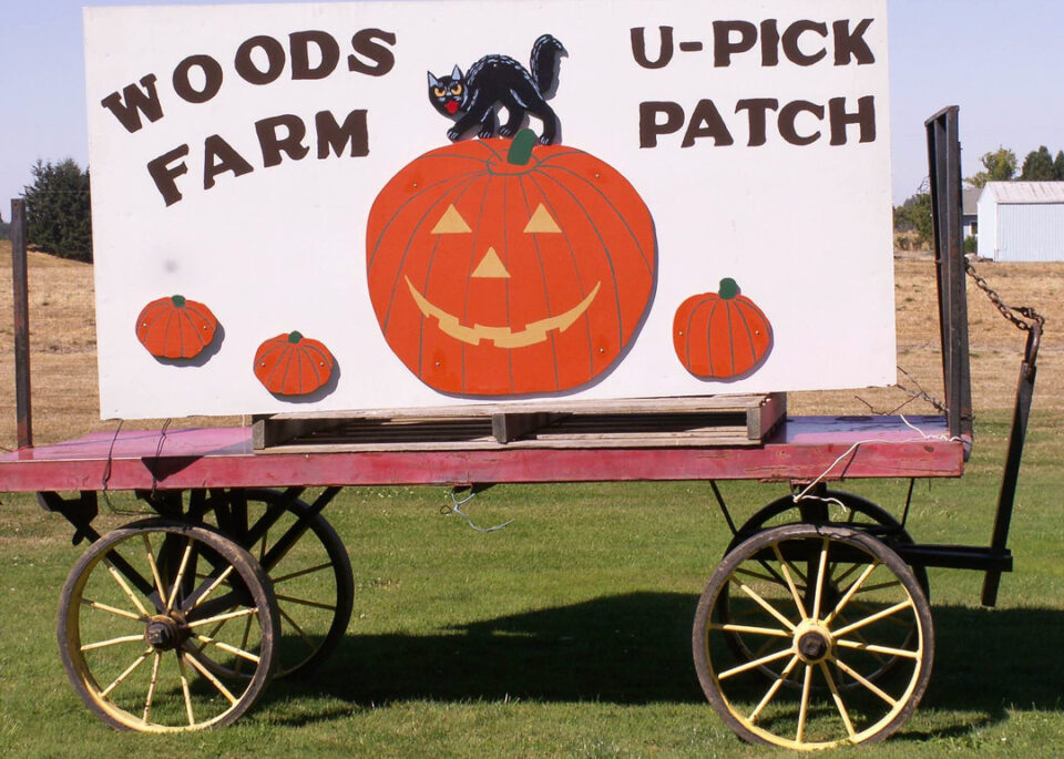 14+ Best Pumpkin Farms In Oregon 2024