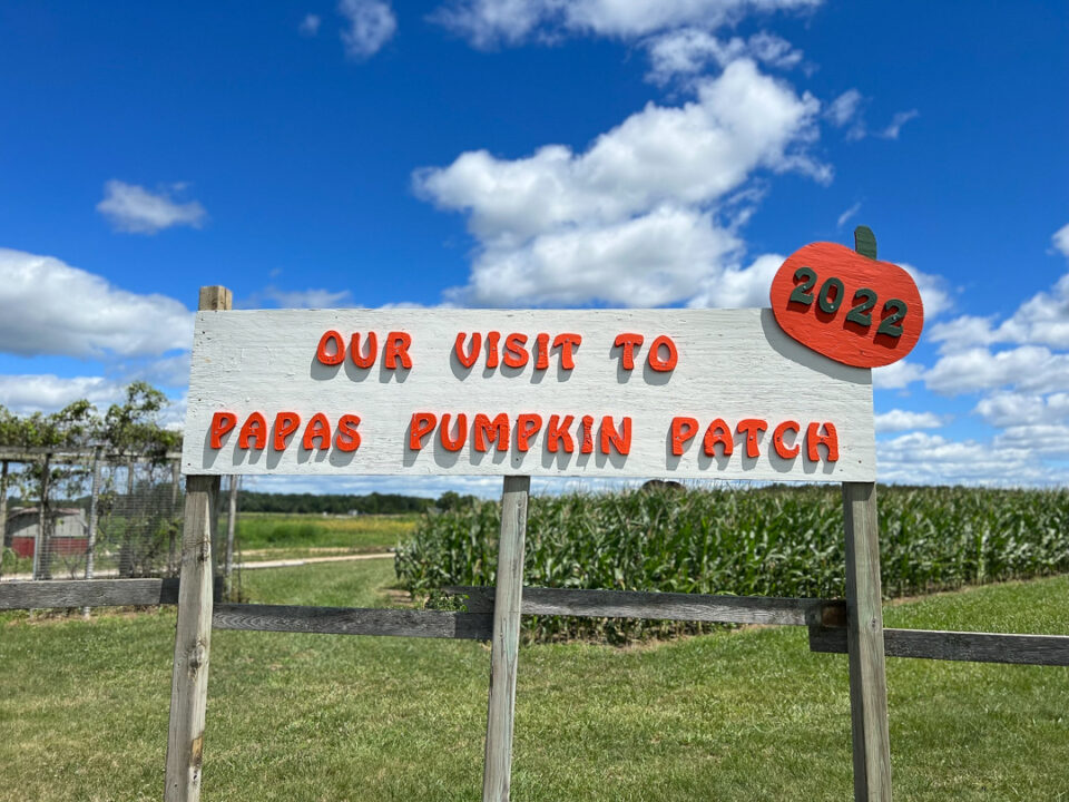 14+ Best Pumpkin Farms In Oregon 2024