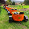 14+ Best Pumpkin Farms In Oregon 2024