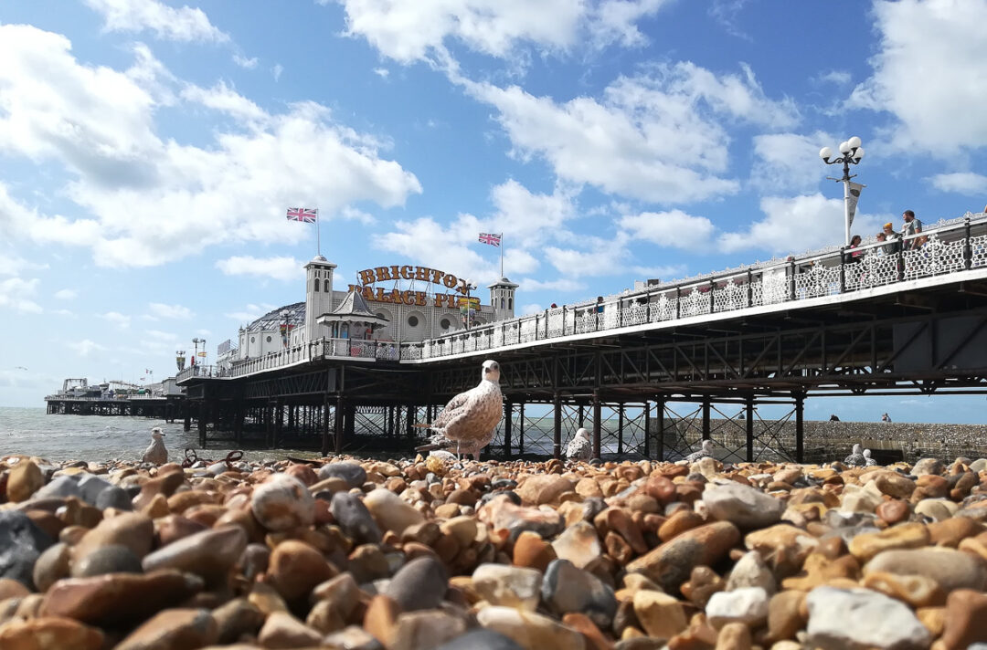 Fun Things To Do In Brighton With Kids 2024