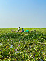 The Best 2 Week India Trip Itinerary - Including Top Tips